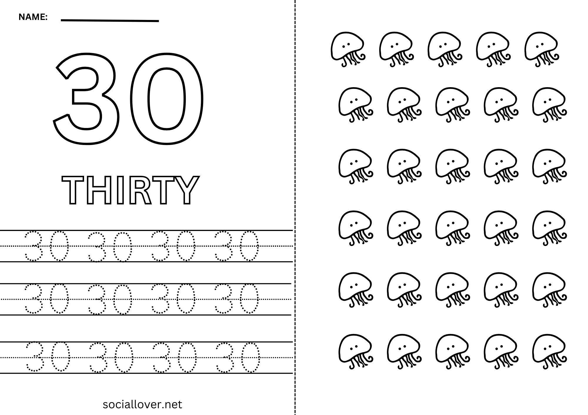 Read Write Count and Trace Math number 30 Practice worksheet