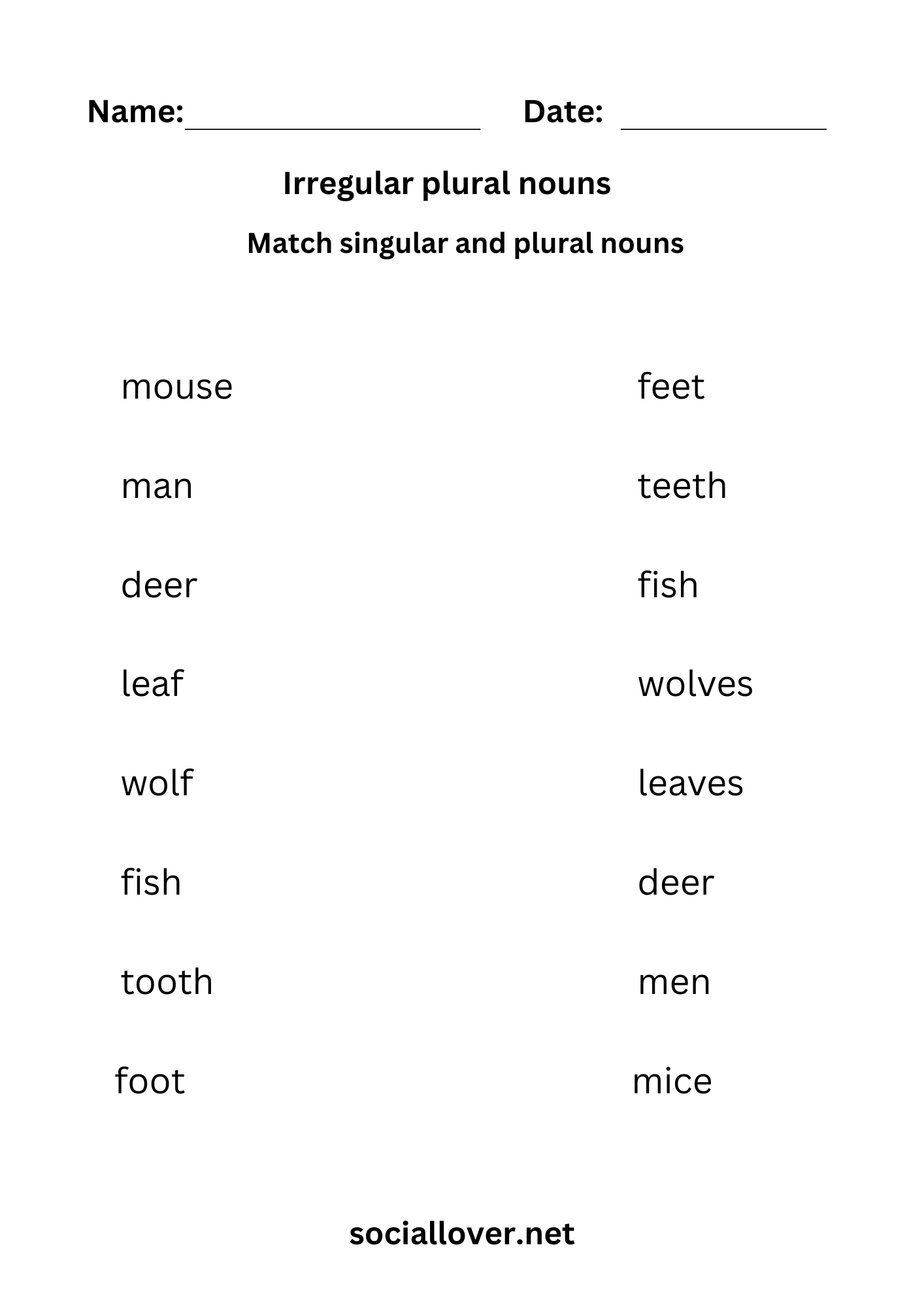 Irregular plural nouns worksheets