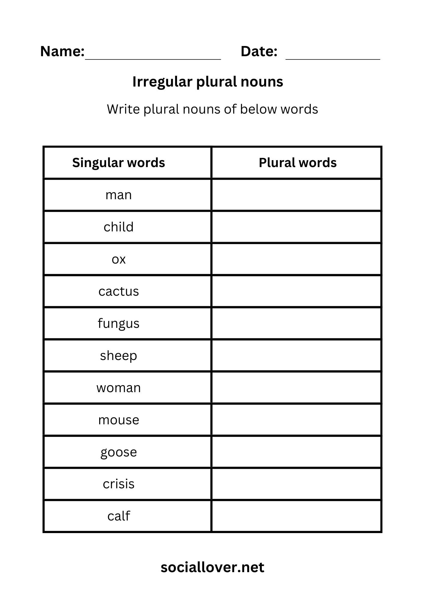 Irregular plural nouns worksheets