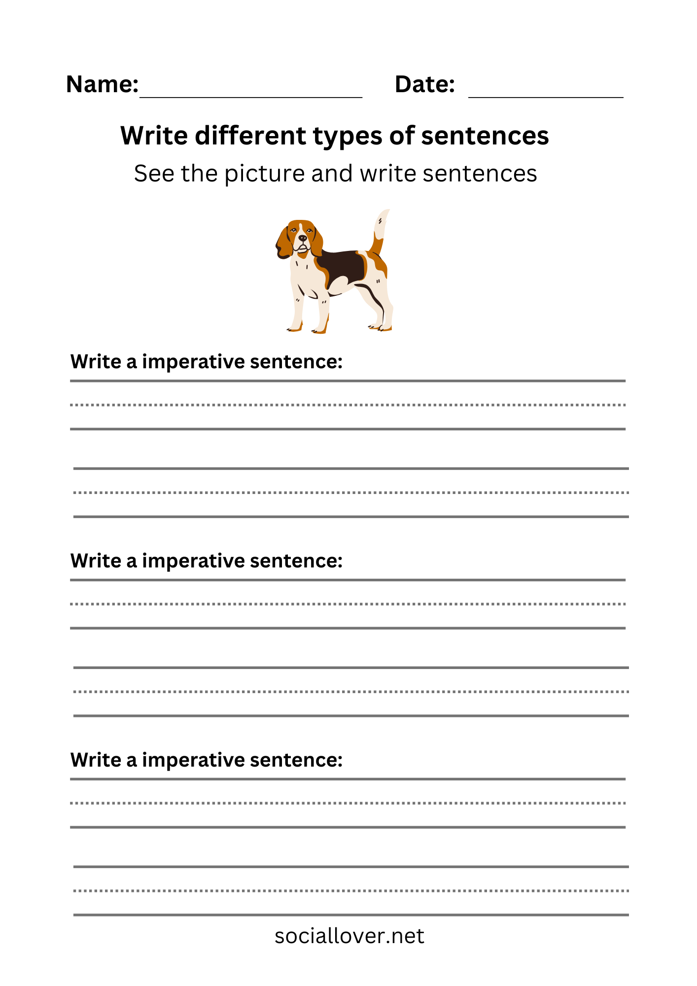Write 3 types of sentences worksheets