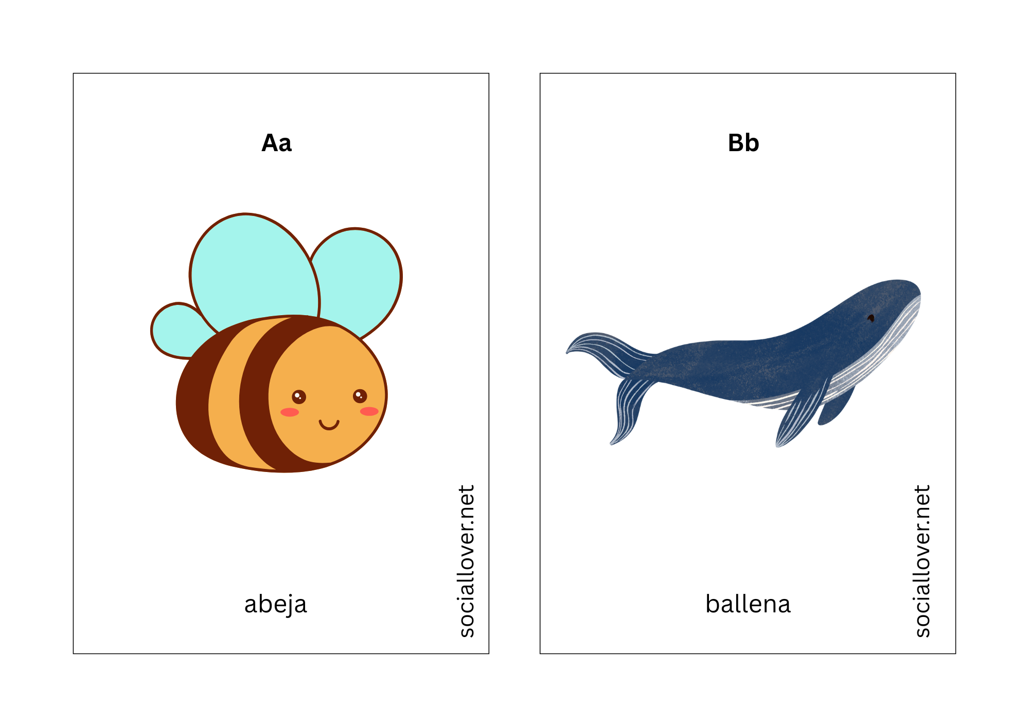 Spanish ABC Alphabets Flashcards Instant Download | Social Lover