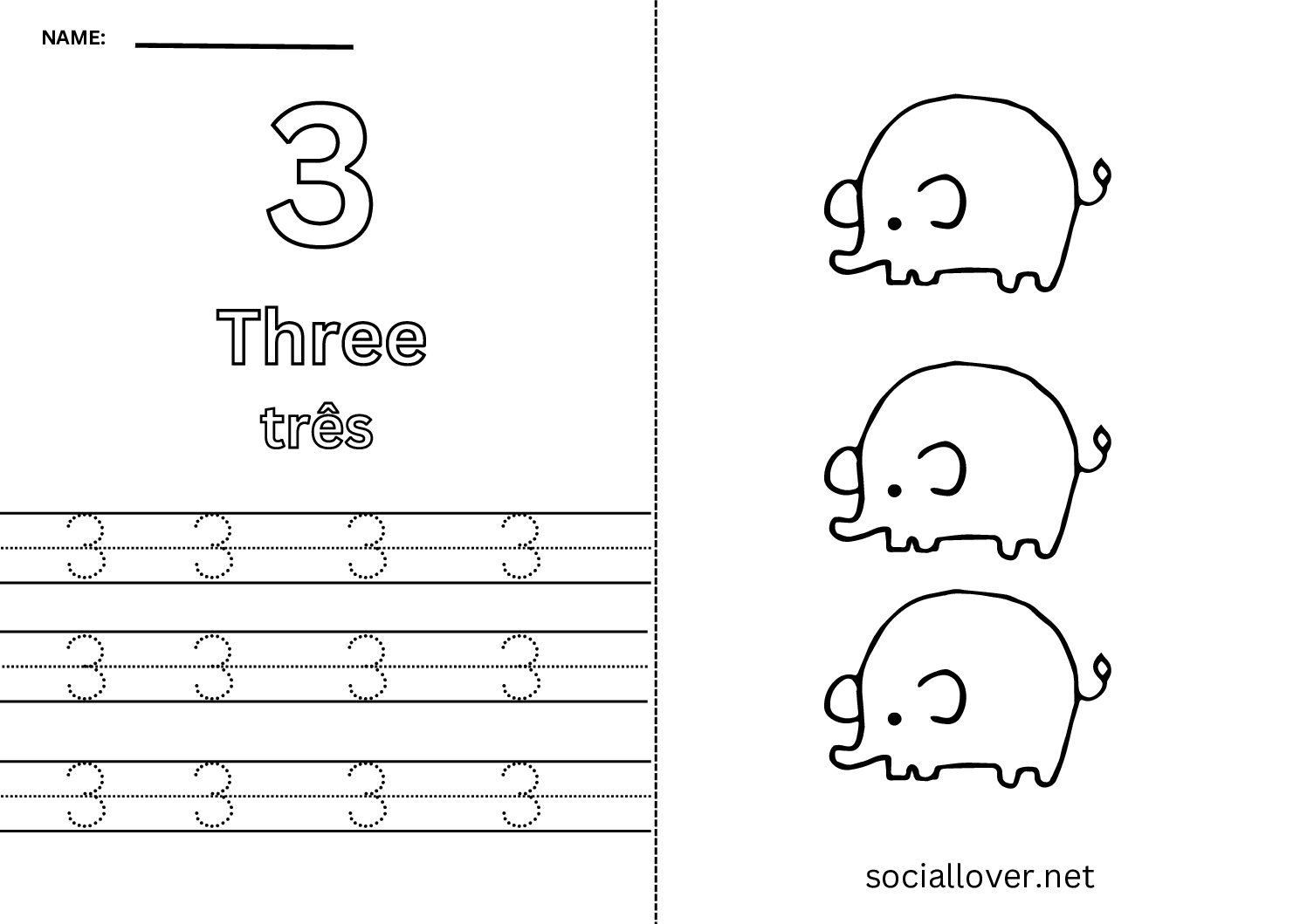 Bilingual Portugues Numbers 5 Worksheet