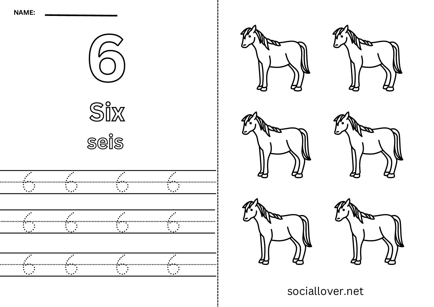 Bilingual Portuguese Numbers 2 Worksheet