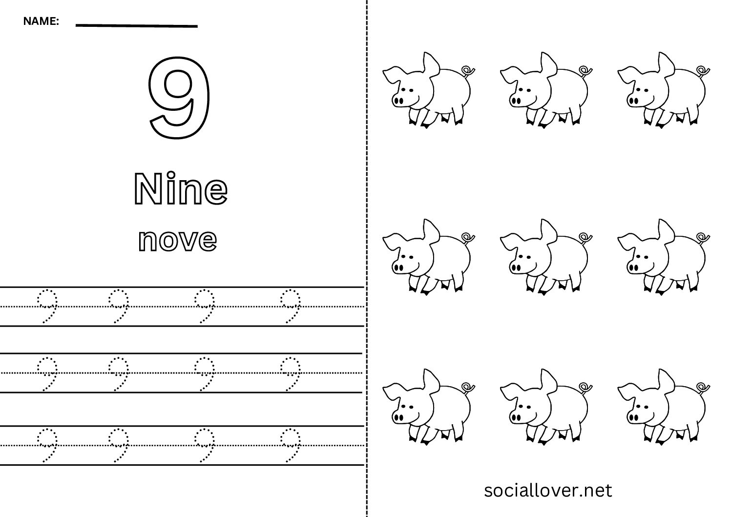 Bilingual Portuguese Numbers 2 Worksheet
